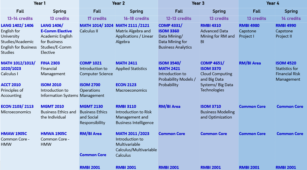 4-Year UG Program (School-based track) | HKUST BSc in Risk Management ...